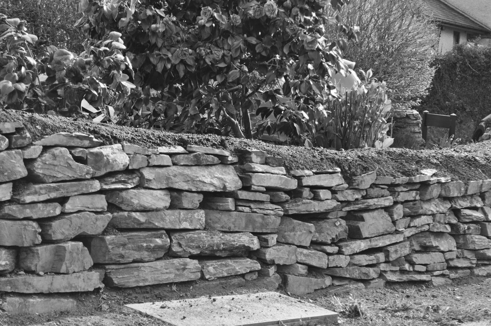 Stonefaced Banks and Hedges – Just In Stone