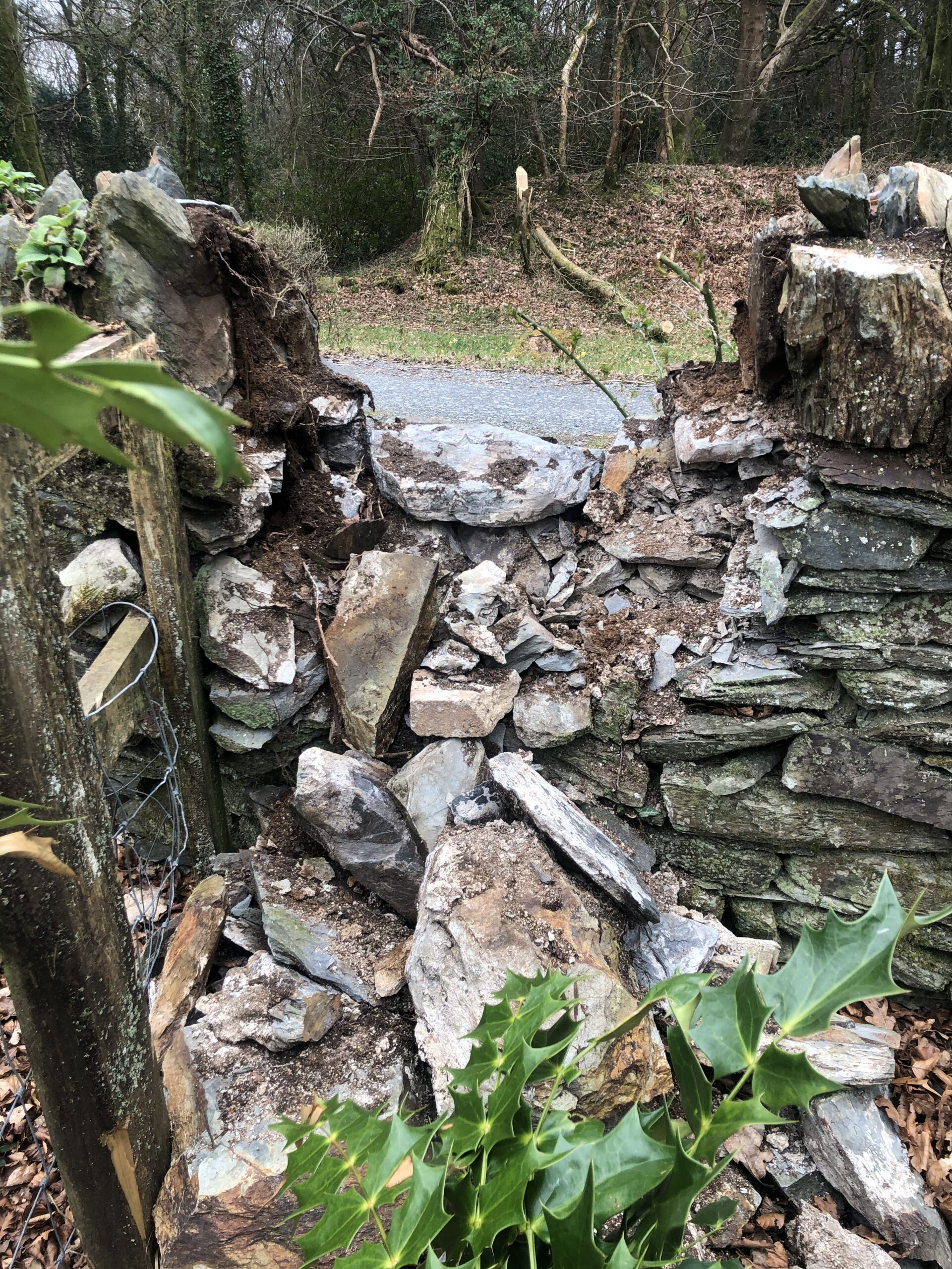 Restorations – Just In Stone